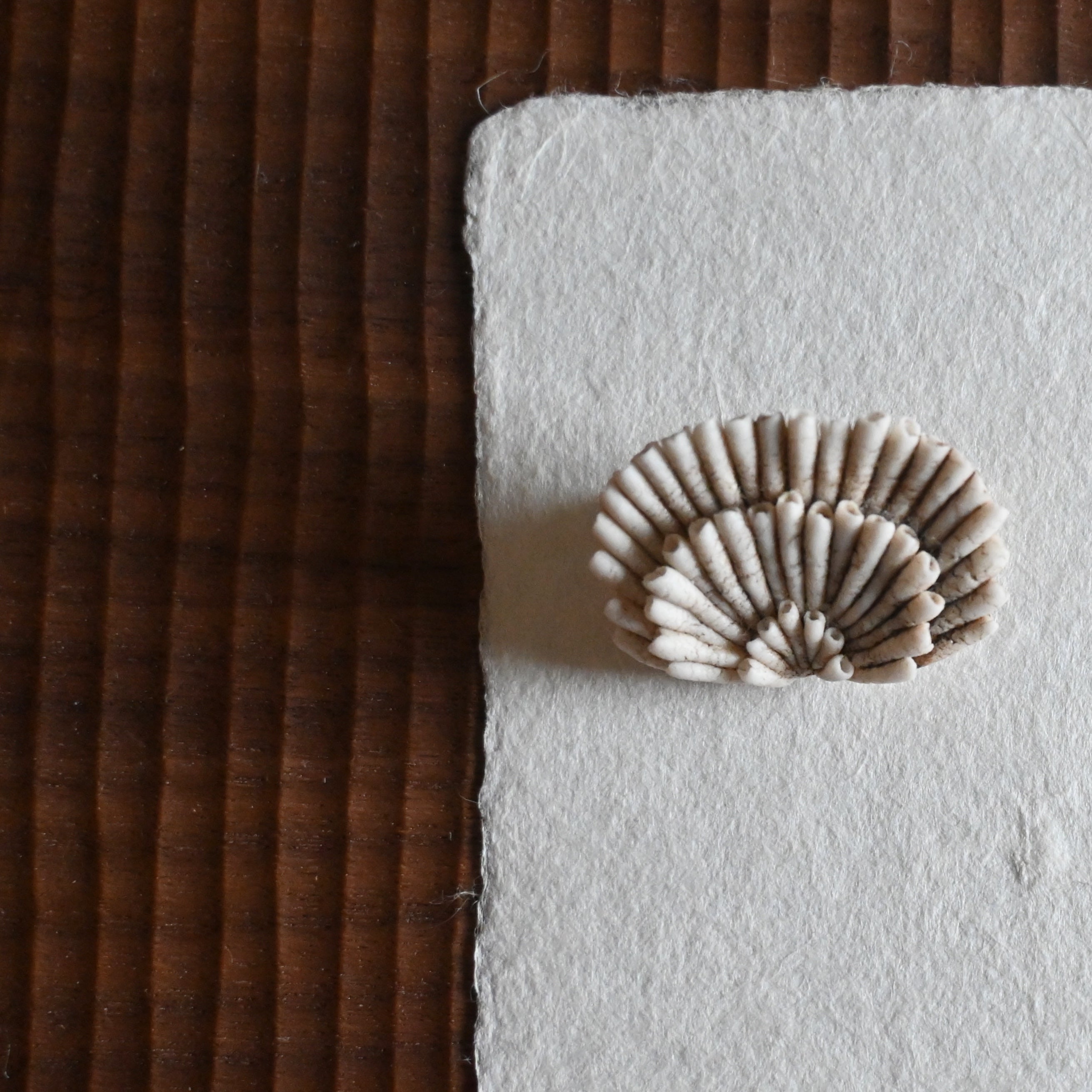 ceramic arch brooch – paper boat press